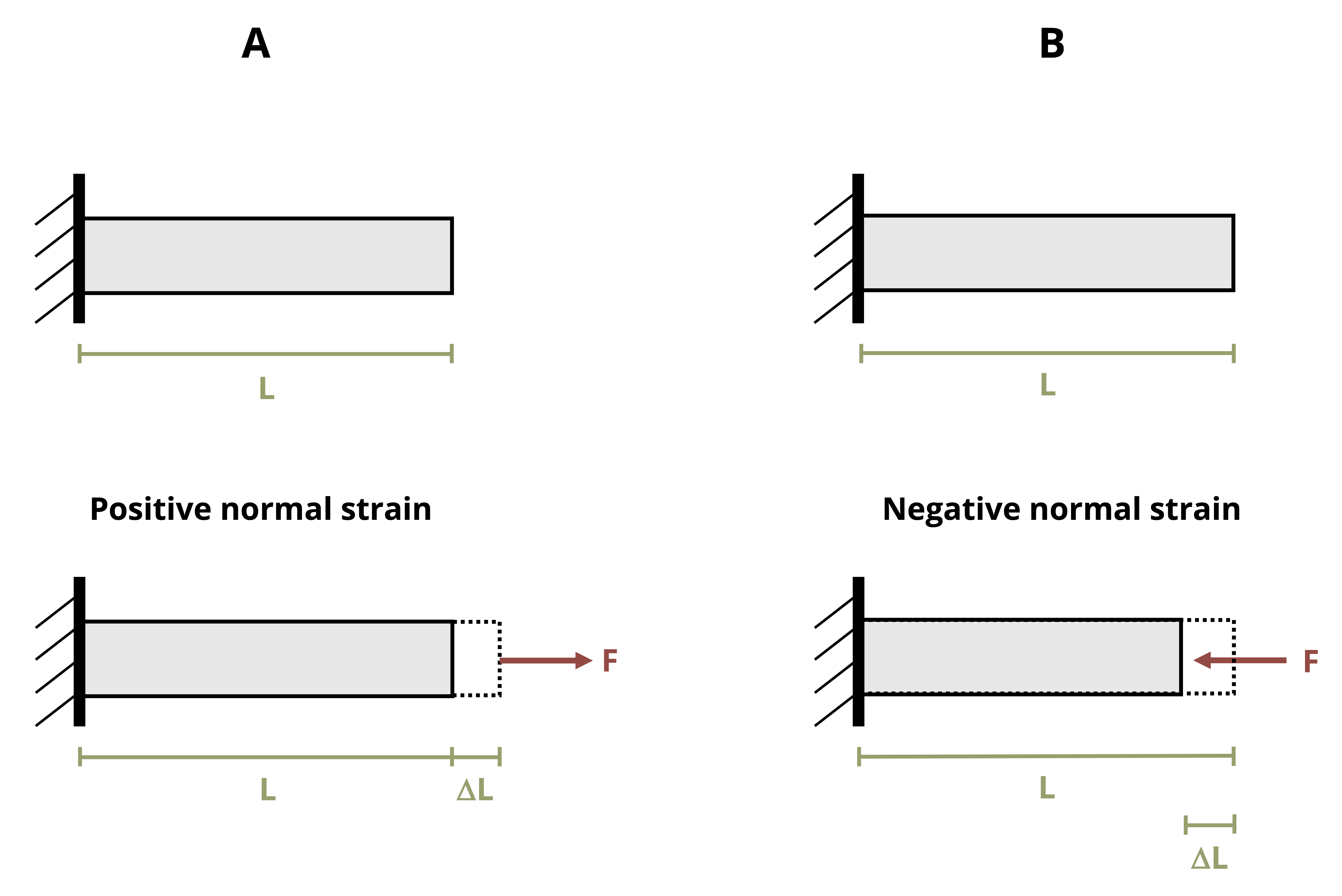 3 Strain – Strength of Materials