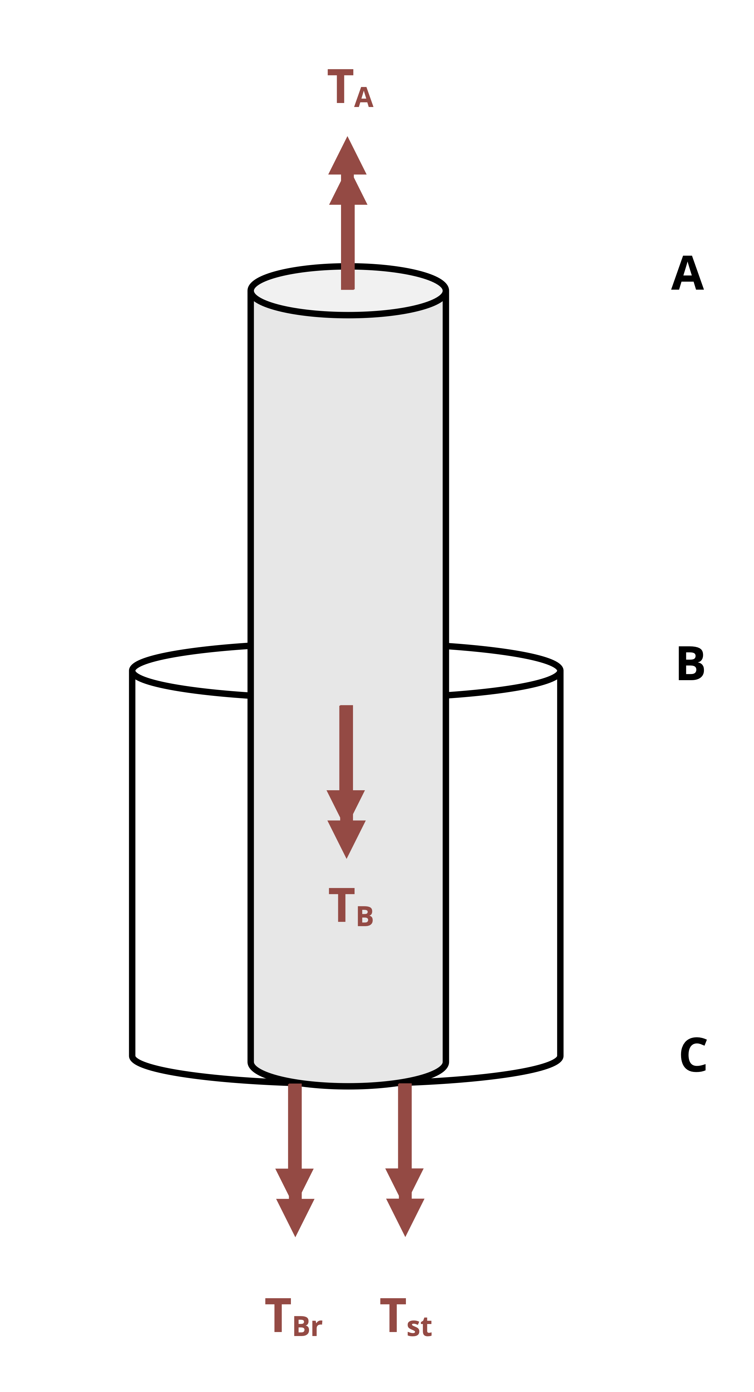 6 Torsion – Strength of Materials
