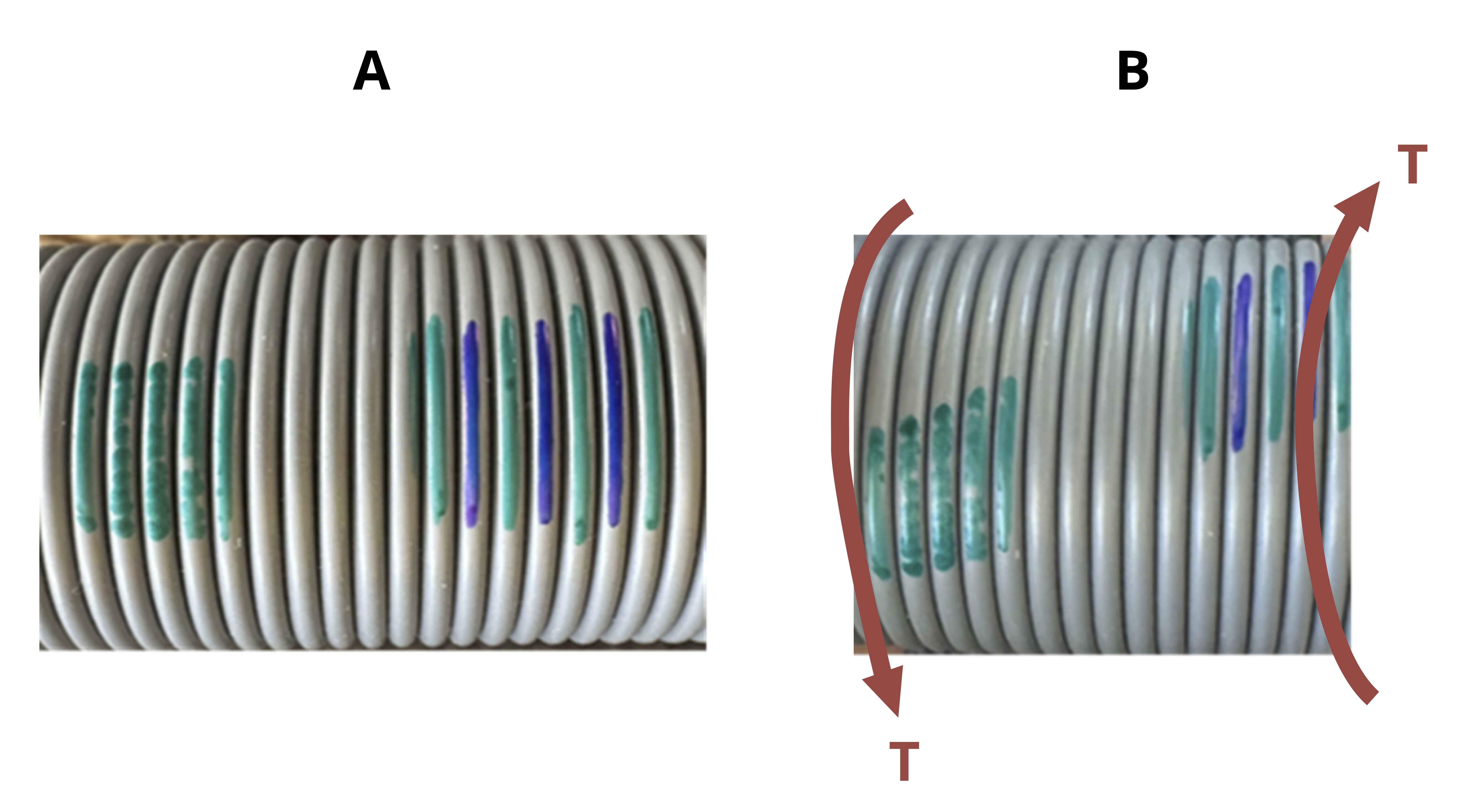 6 Torsion – Strength of Materials